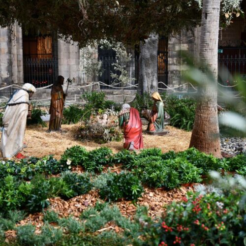 Home - SANTA ESGLÉSIA CATEDRAL BASÍLICA METROPOLITANA DE BARCELONA